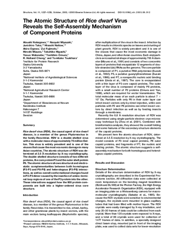 (PDF) The Atomic Structure of Rice dwarf Virus Reveals the Self ...