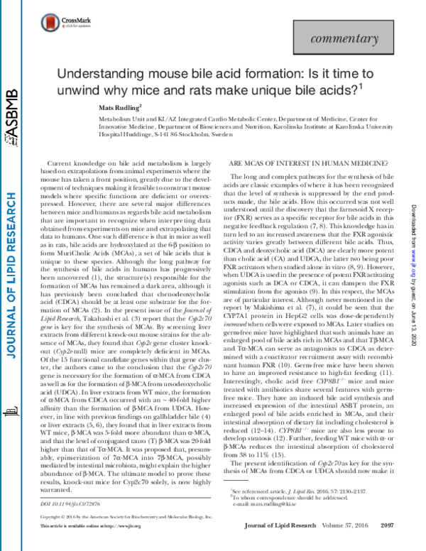 (PDF) Understanding mouse bile acid formation: Is it time to unwind why ...
