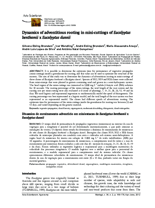 (PDF) Dynamics of adventitious rooting in mini-cuttings of Eucalyptus ...