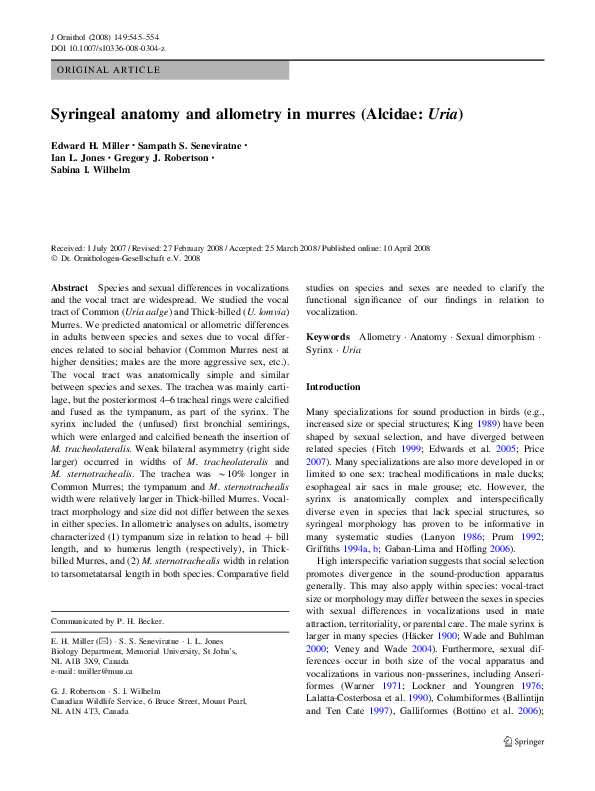 (PDF) Syringeal anatomy and allometry in murres (Alcidae: Uria)