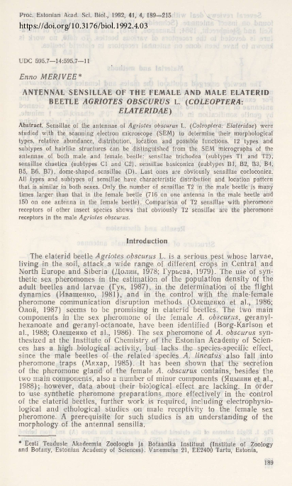 (PDF) Antennal Sensillae of the Female and Male Elaterid Beetle ...