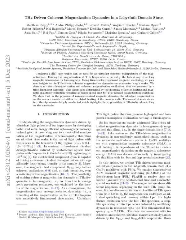 (PDF) THz-Driven Coherent Magnetization Dynamics in a Labyrinth Domain ...