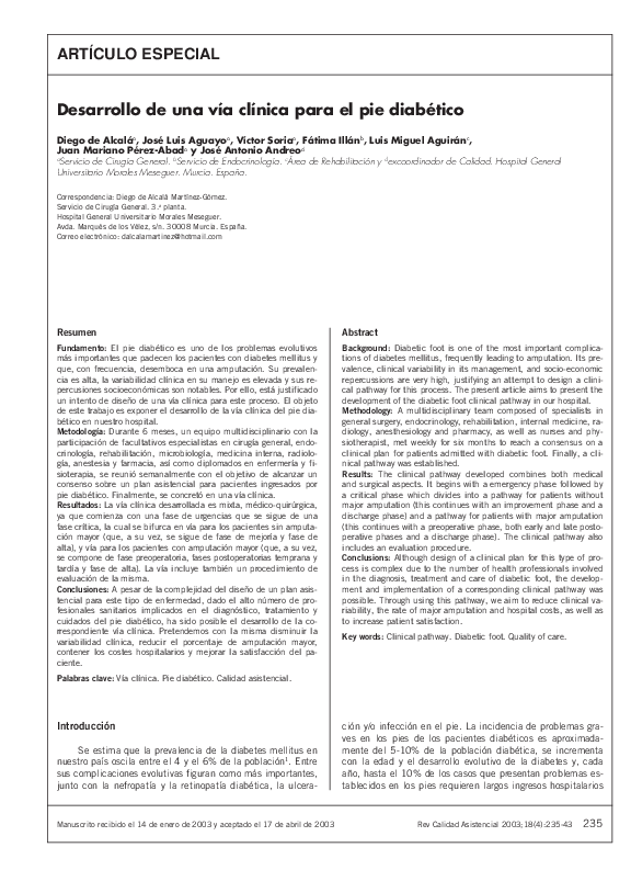 (PDF) Desarrollo de una vía clínica para el pie diabético | José Luis ...