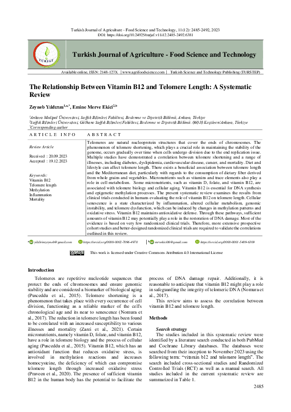 (PDF) The Relationship Between Vitamin B12 and Telomere Length: A Systematic Review