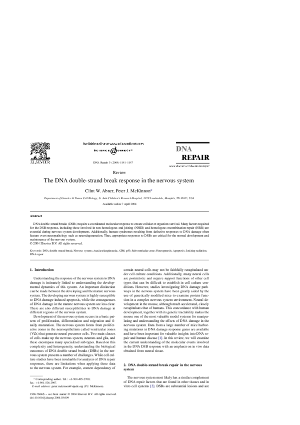 (PDF) The DNA double-strand break response in the nervous system | Peter McKinnon - Academia.edu