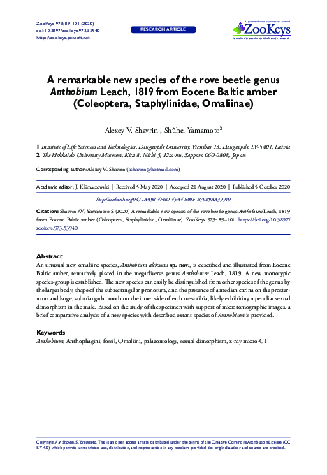 (PDF) A remarkable new species of the rove beetle genus Anthobium Leach ...