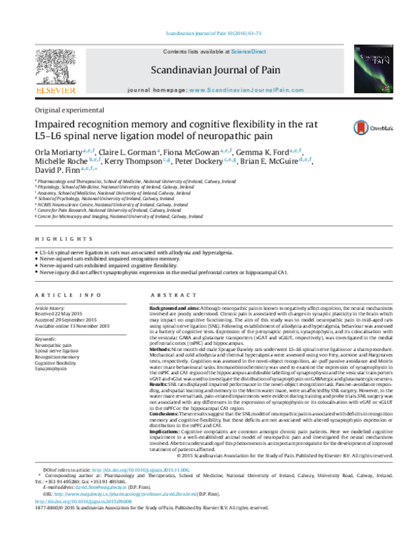 (PDF) Neuropathic Pain Impairs Memory and Cognitive Flexibility in Rats