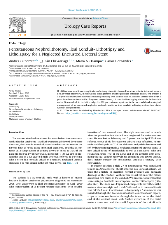 (PDF) Percutaneous Nephrolithotomy, Ileal Conduit- Lithotripsy and ...