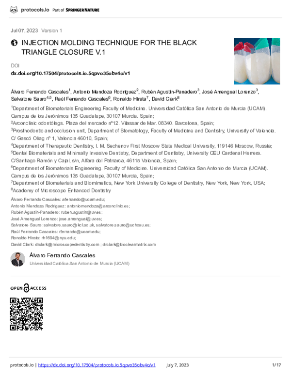 (PDF) INJECTION MOLDING TECHNIQUE FOR THE BLACK TRIANGLE CLOSURE v1 ...