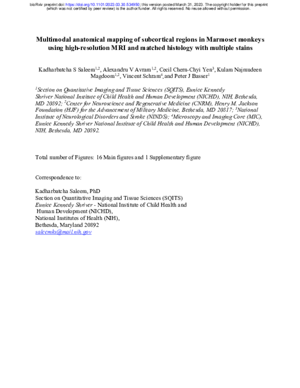 (PDF) Multimodal anatomical mapping of subcortical regions in Marmoset ...