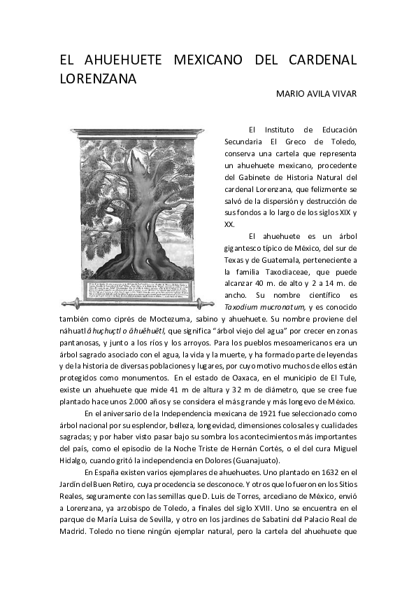 (PDF) EL AHUEHUETE MEXICANO DEL CARDENAL LORENZANA