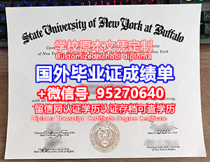 (PDF) University of South Australia Diploma Degree Transcript | ghkgh ...