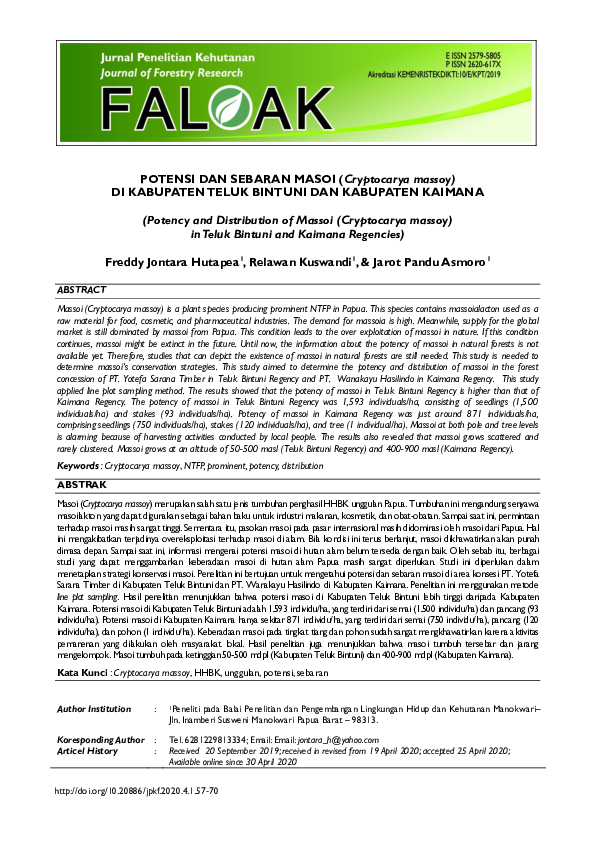 (PDF) POTENSI DAN SEBARAN MASOI (Cryptocarya massoy) DI PAPUA BARAT