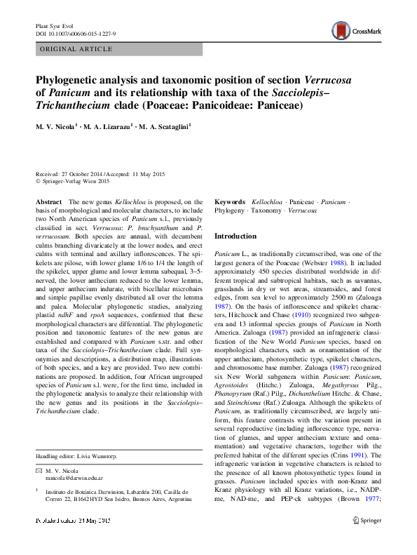 (PDF) Phylogenetic analysis and taxonomic position of section Verrucosa ...