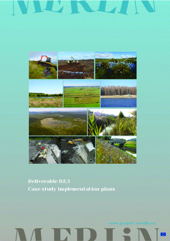 (PDF) Case study implementation plans