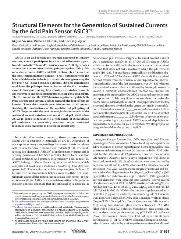 (PDF) Structural Elements for the Generation of Sustained Currents by ...