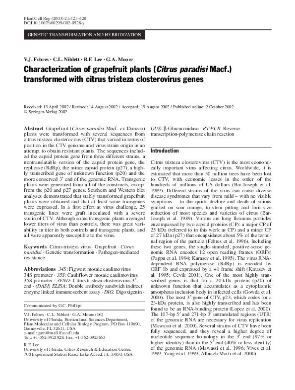 (PDF) Characterization of grapefruit plants (Citrus paradisi Macf ...