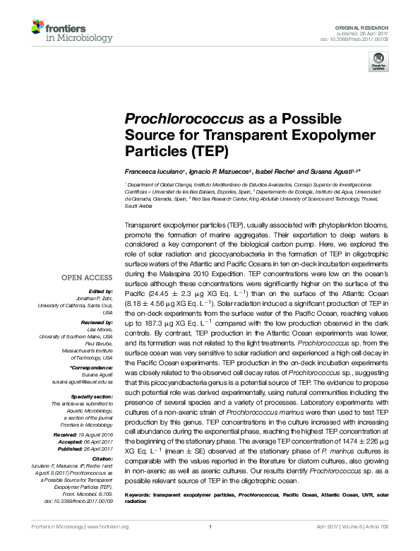 (PDF) Prochlorococcus as a Possible Source for Transparent Exopolymer ...