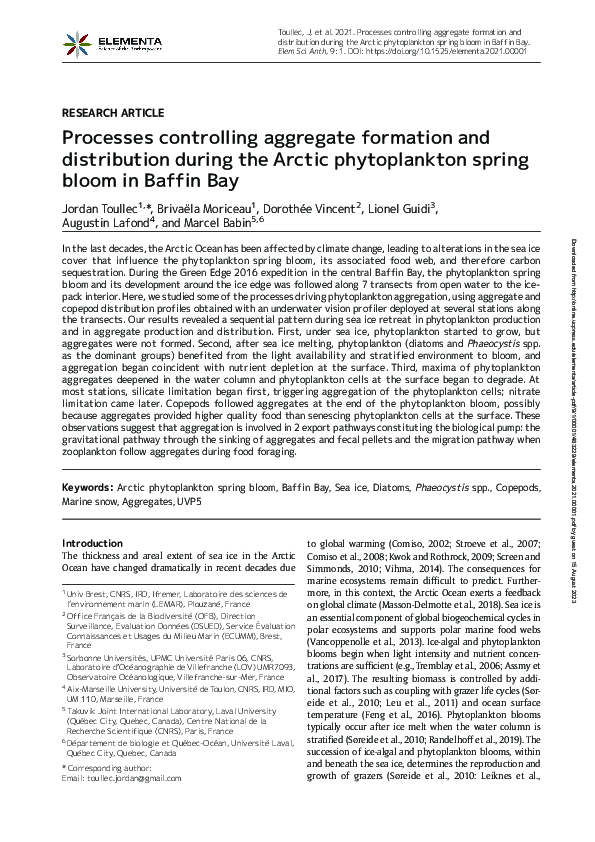 (PDF) Processes controlling aggregate formation and distribution during ...