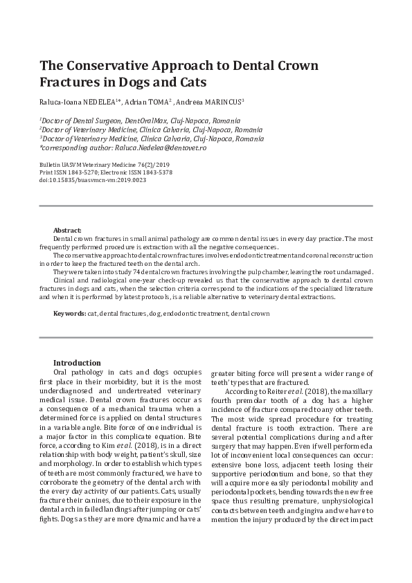 (PDF) The Conservative Approach to Dental Crown Fractures in Dogs and Cats