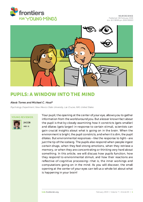 Pdf Pupils A Window Into The Mind