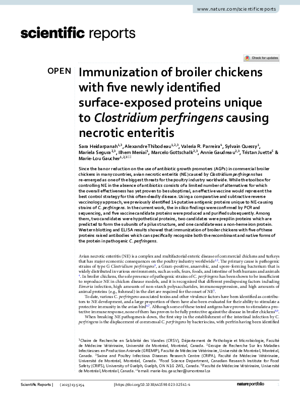 Pdf Immunization Of Broiler Chickens With Five Newly Identified Surface Exposed Proteins