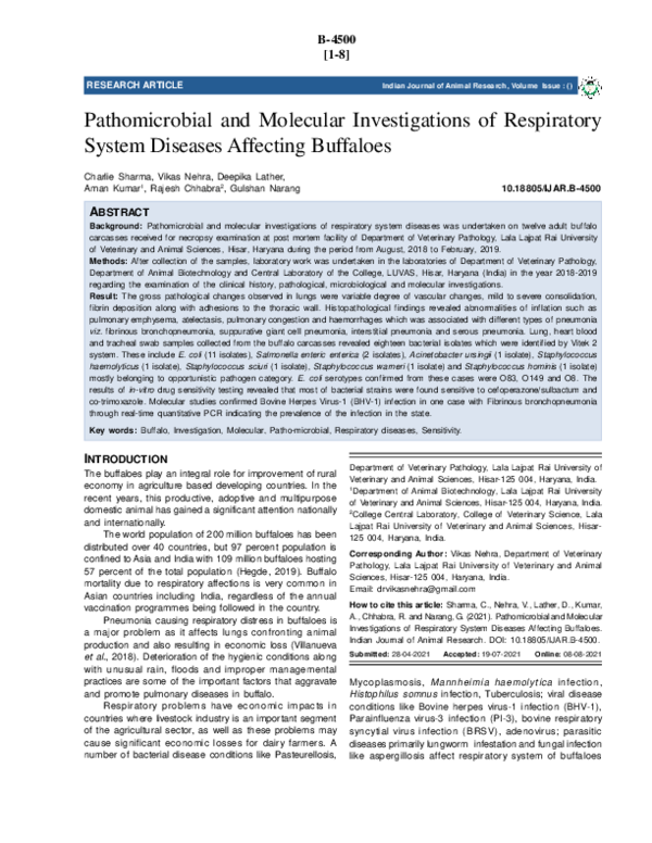 (PDF) Pathomicrobial and Molecular Investigations of Respiratory System ...