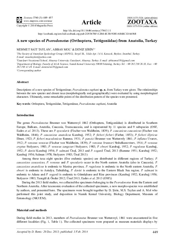 (PDF) A new species of Psorodonotus (Orthoptera, Tettigoniidae) from ...