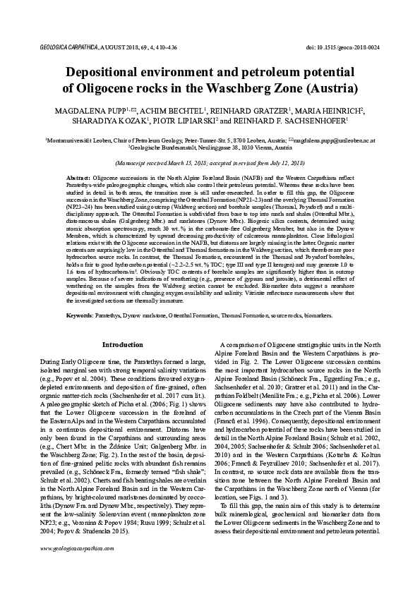 (PDF) Depositional environment and petroleum potential of Oligocene ...
