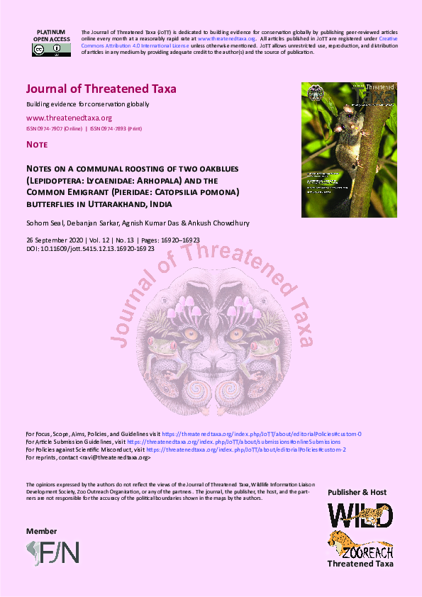 (PDF) Notes on a communal roosting of two oakblues (Lepidoptera ...