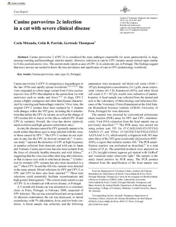(PDF) Canine parvovirus 2c infection in a cat with severe clinical disease