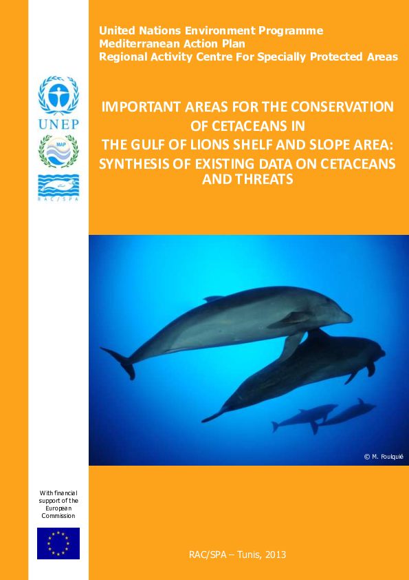 (PDF) Important areas for the conservation of cetaceans in the Gulf of ...