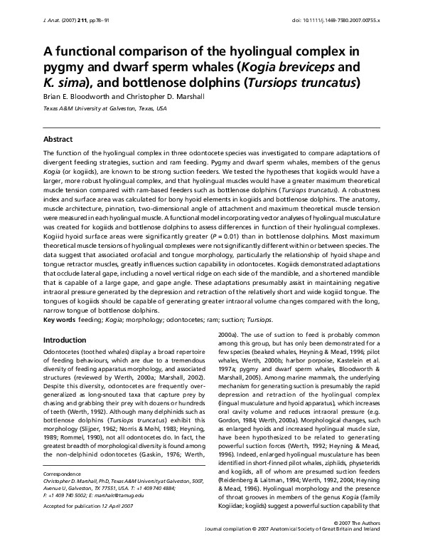(PDF) A functional comparison of the hyolingual complex in pygmy and ...