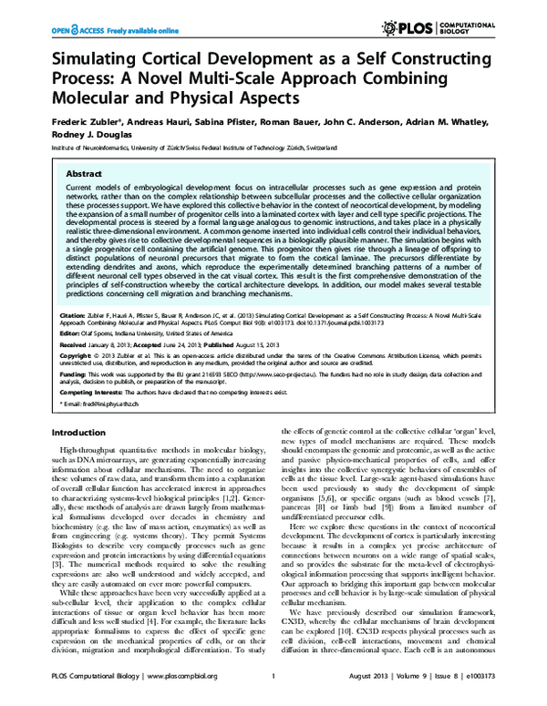 (PDF) Simulating Cortical Development as a Self Constructing Process: A ...