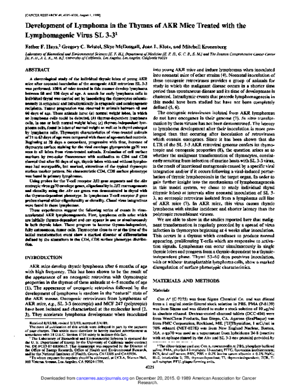 (PDF) Development of lymphoma in the thymus of AKR mice treated with ...