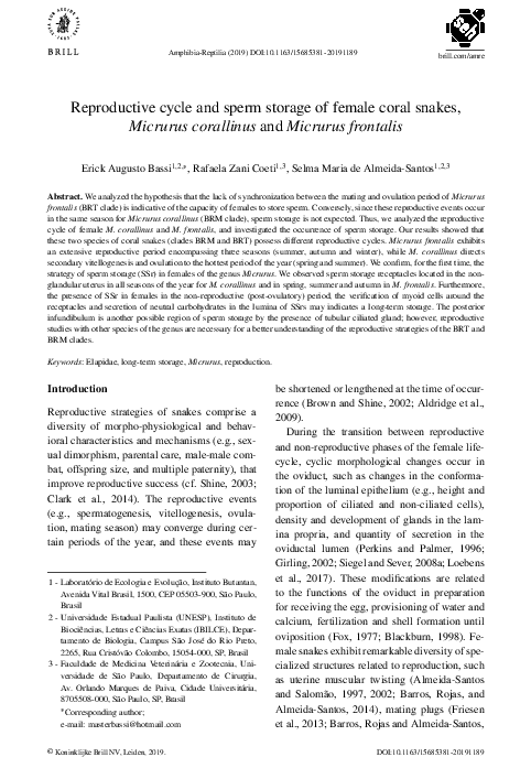 (PDF) Reproductive cycle and sperm storage of female coral snakes ...