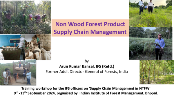 (PDF) Non Wood Forest Product Supply Chain Management