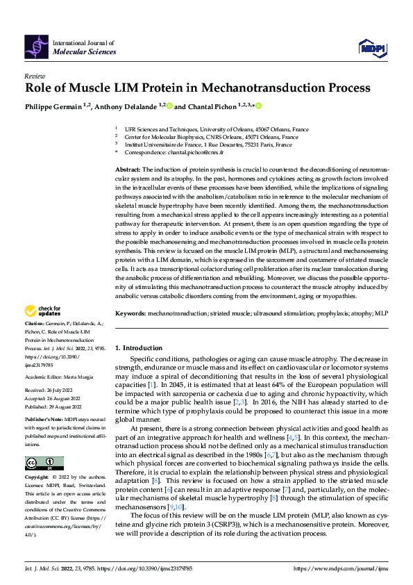 (PDF) Role of Muscle LIM Protein in Mechanotransduction Process