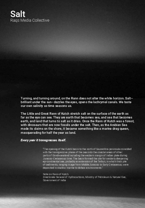 (PDF) Salt