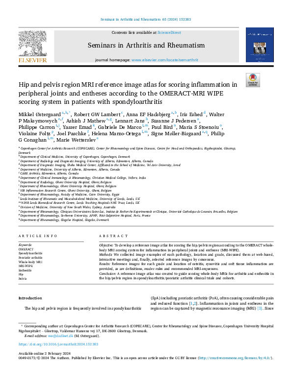 (PDF) Hip and pelvis region MRI reference image atlas for scoring ...