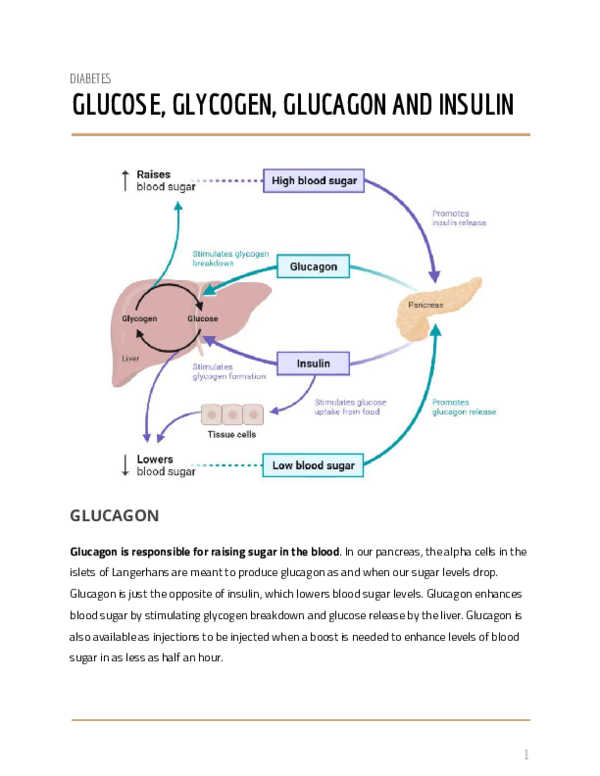 (PDF) Type 1 Diabetes