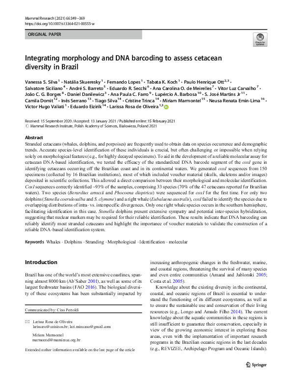 (PDF) Morphology and DNA Barcoding for Cetacean Diversity in Brazil