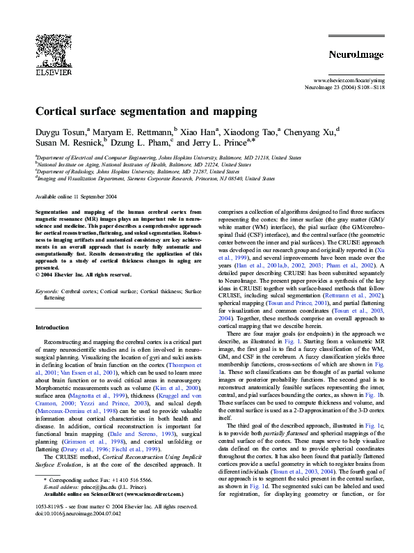 (PDF) Cortical surface segmentation and mapping
