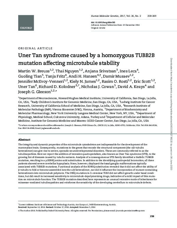 (PDF) Uner Tan Syndrome Caused by a Homozygous TUBB2B Mutation ...