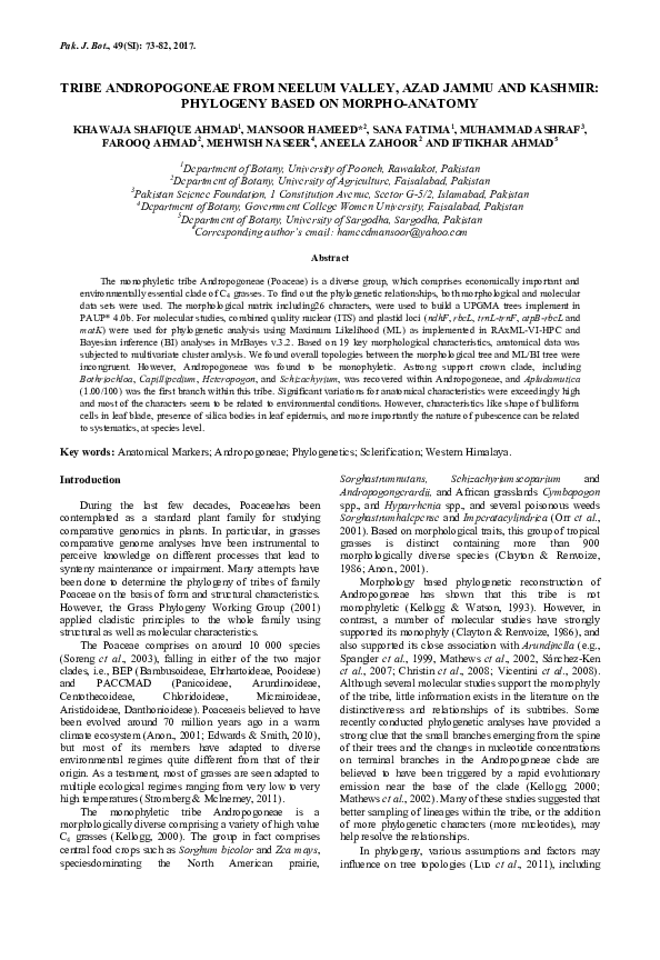 (PDF) Tribe Andropogoneae from Neelum Valley , Azad Jammu and Kashmir ...