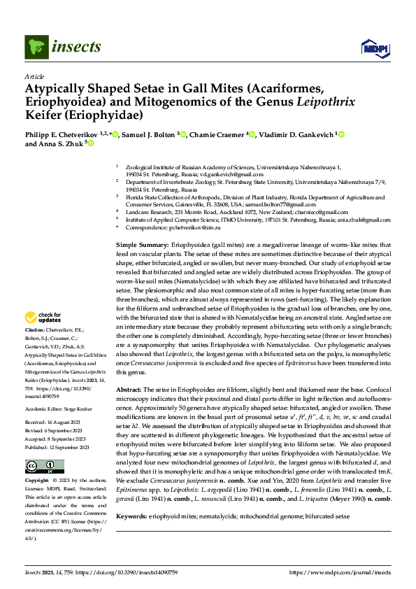 (PDF) Atypically Shaped Setae in Gall Mites (Acariformes, Eriophyoidea ...