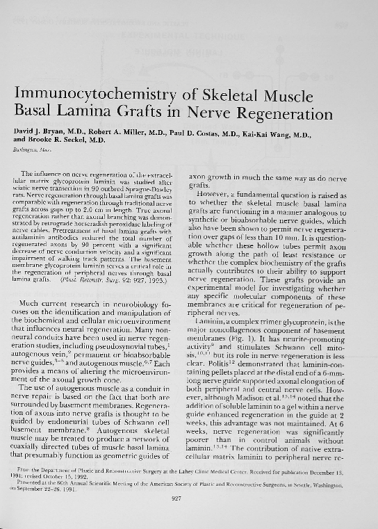 (PDF) Immunocytochemistry of Skeletal Muscle Basal Lamina Grafts in ...