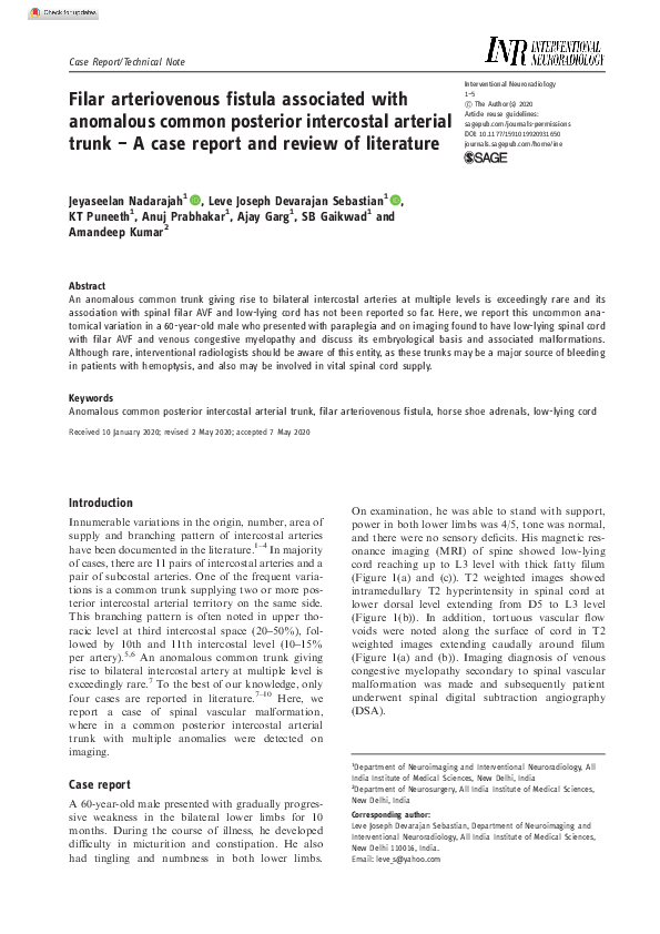 (PDF) Rare Posterior Intercostal Trunk Associated with Filar AVF Case