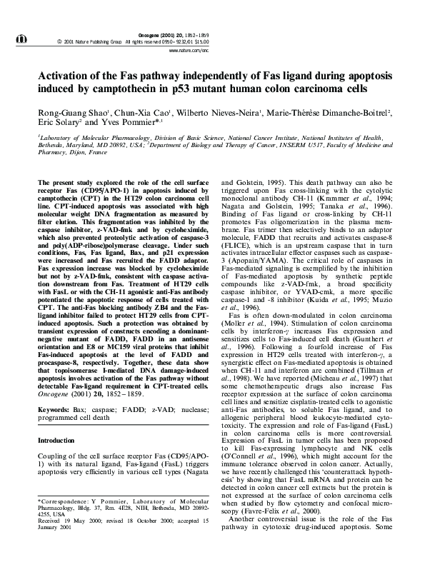 (PDF) Activation of the Fas pathway independently of Fas ligand during ...