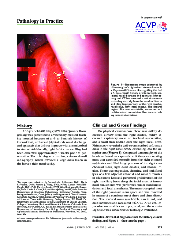 (PDF) Pathology in Practice